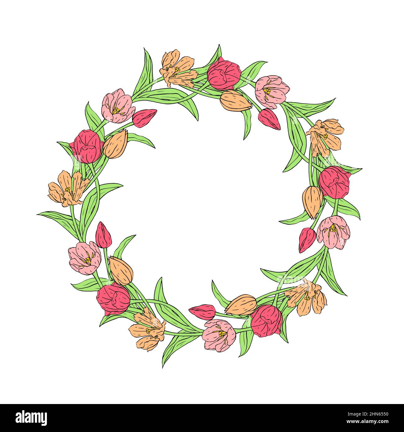 Colorful line art tulips flowers wreath isolated on white Stock Vector ...