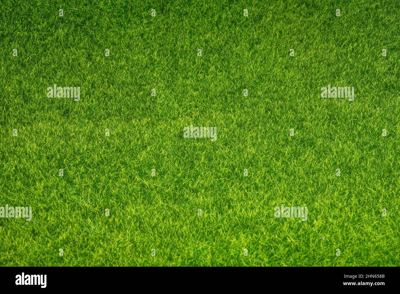 Football Field Grass Texture
