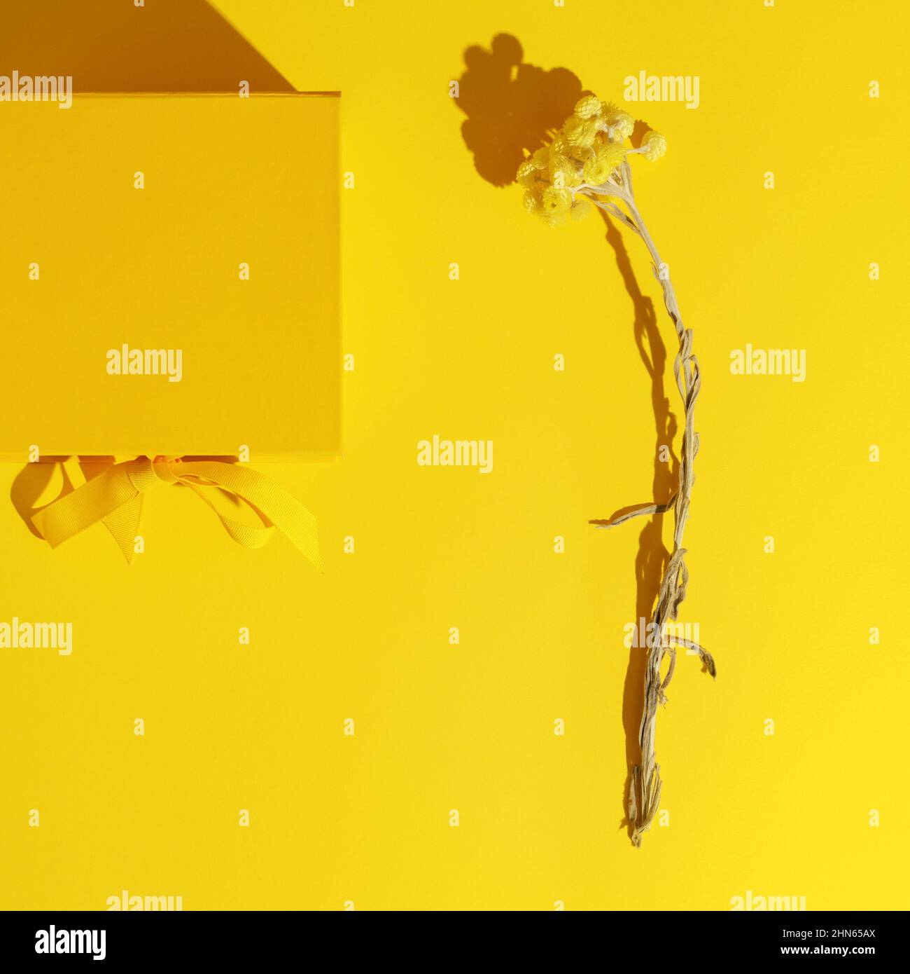 Bright yellow gift box with ribbon bow and Yellow flowers of ...