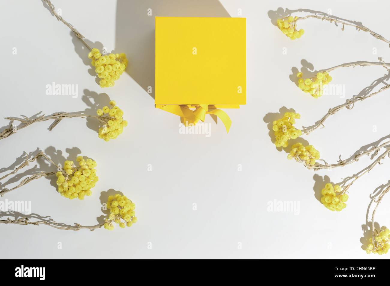 Bright yellow gift box with ribbon bow and Yellow flowers of ...