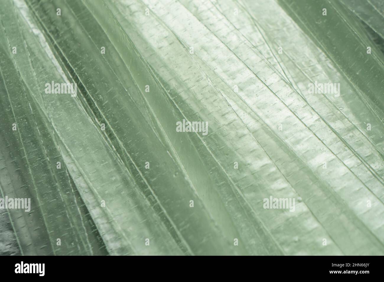 Green bean noodles background texture. Raw funchose. Glass noodles ...