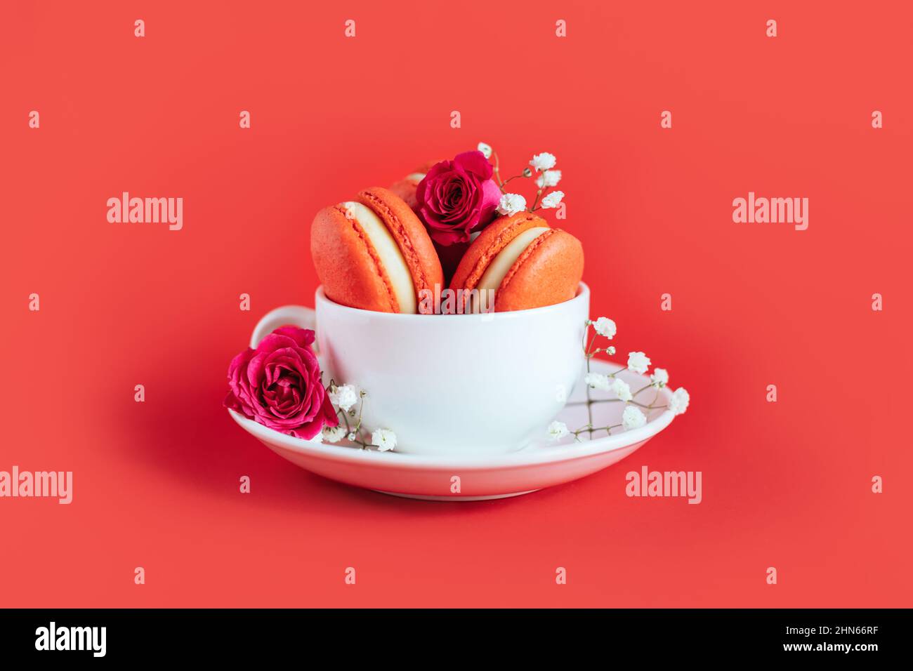Red french macarons with rose flower in a cap on a red background ...
