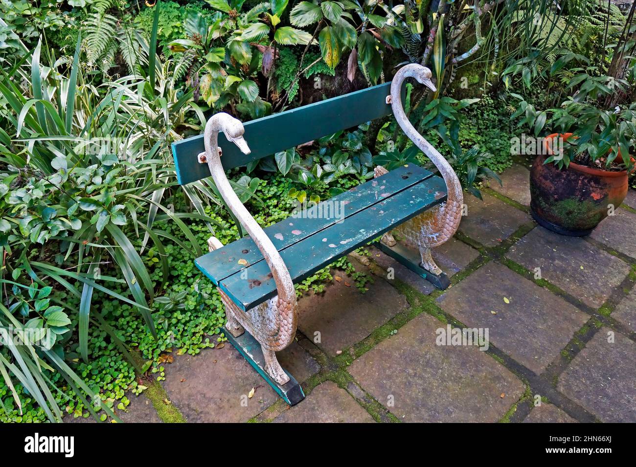 Old bench in the garden Stock Photo - Alamy
