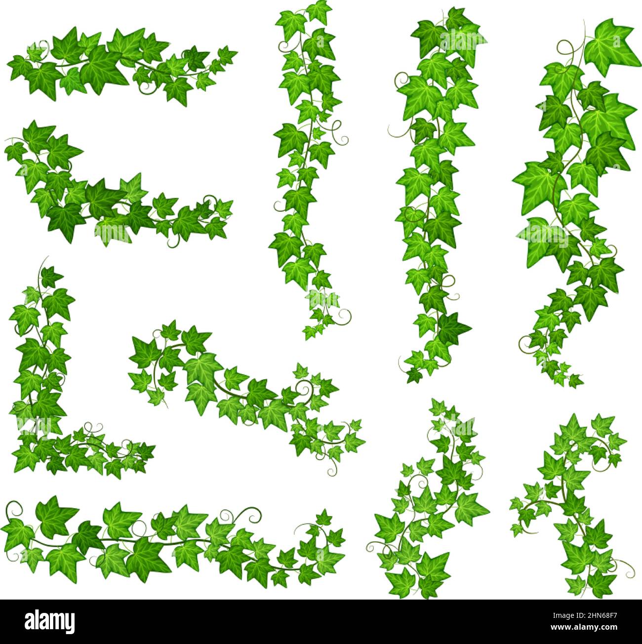 Floral creepers hi-res stock photography and images - Alamy
