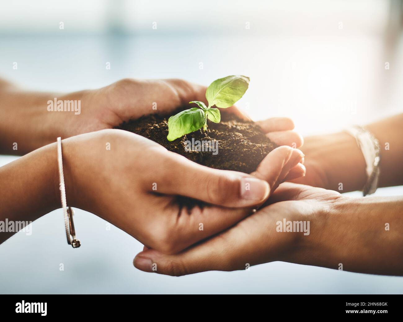 Lets plant hi-res stock photography and images - Alamy