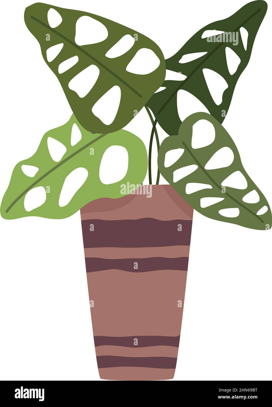 houseplant in long pot Stock Vector Image & Art - Alamy