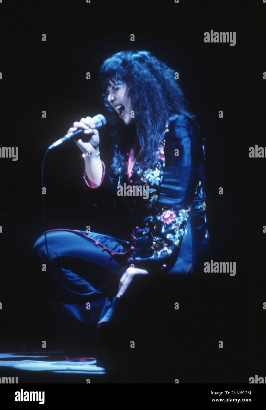 Ann wilson heart 1982 hi-res stock photography and images - Alamy