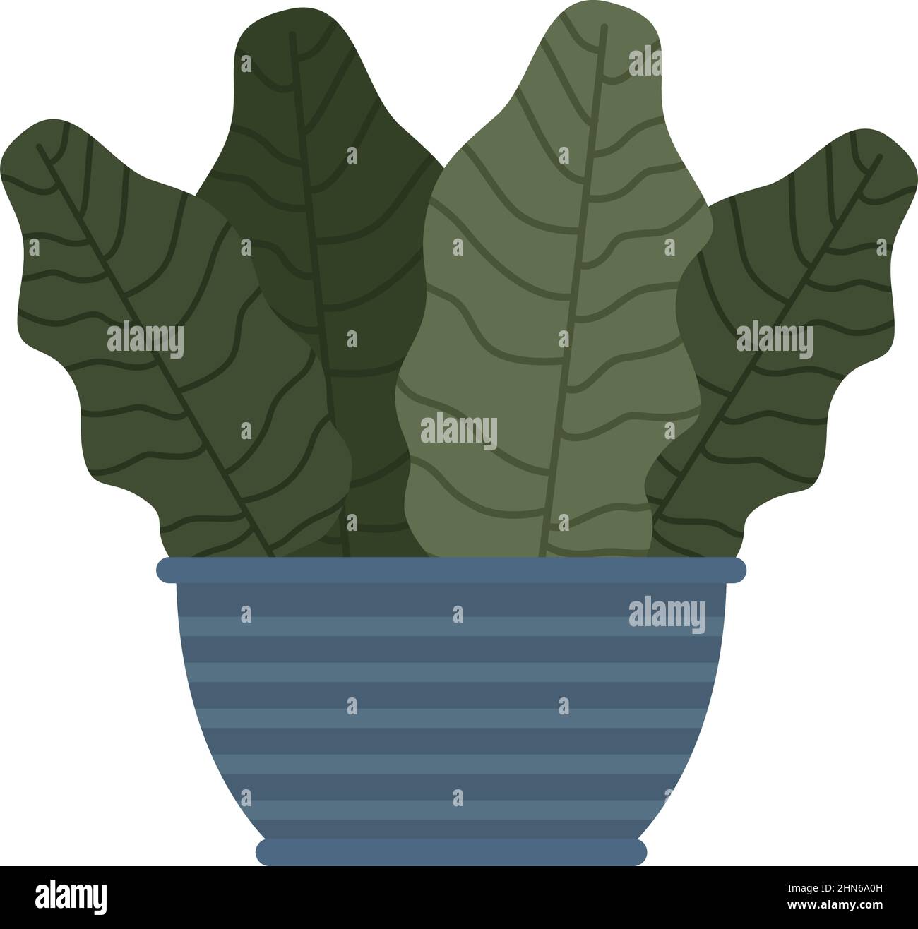 houseplant in blue pot Stock Vector Image & Art - Alamy