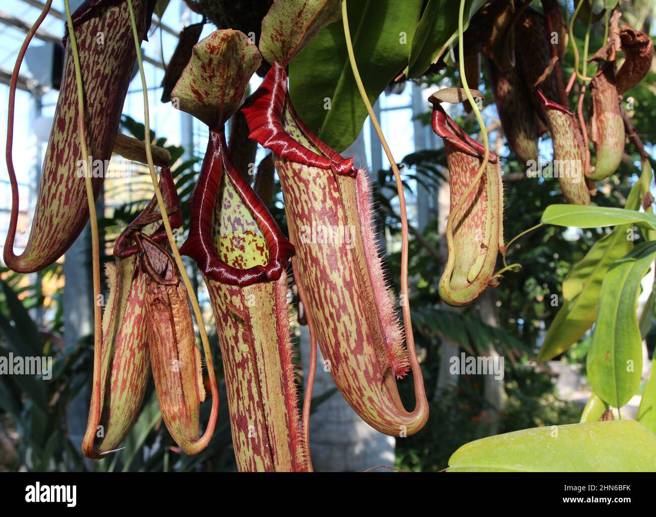 Eight of cups hi-res stock photography and images - Alamy