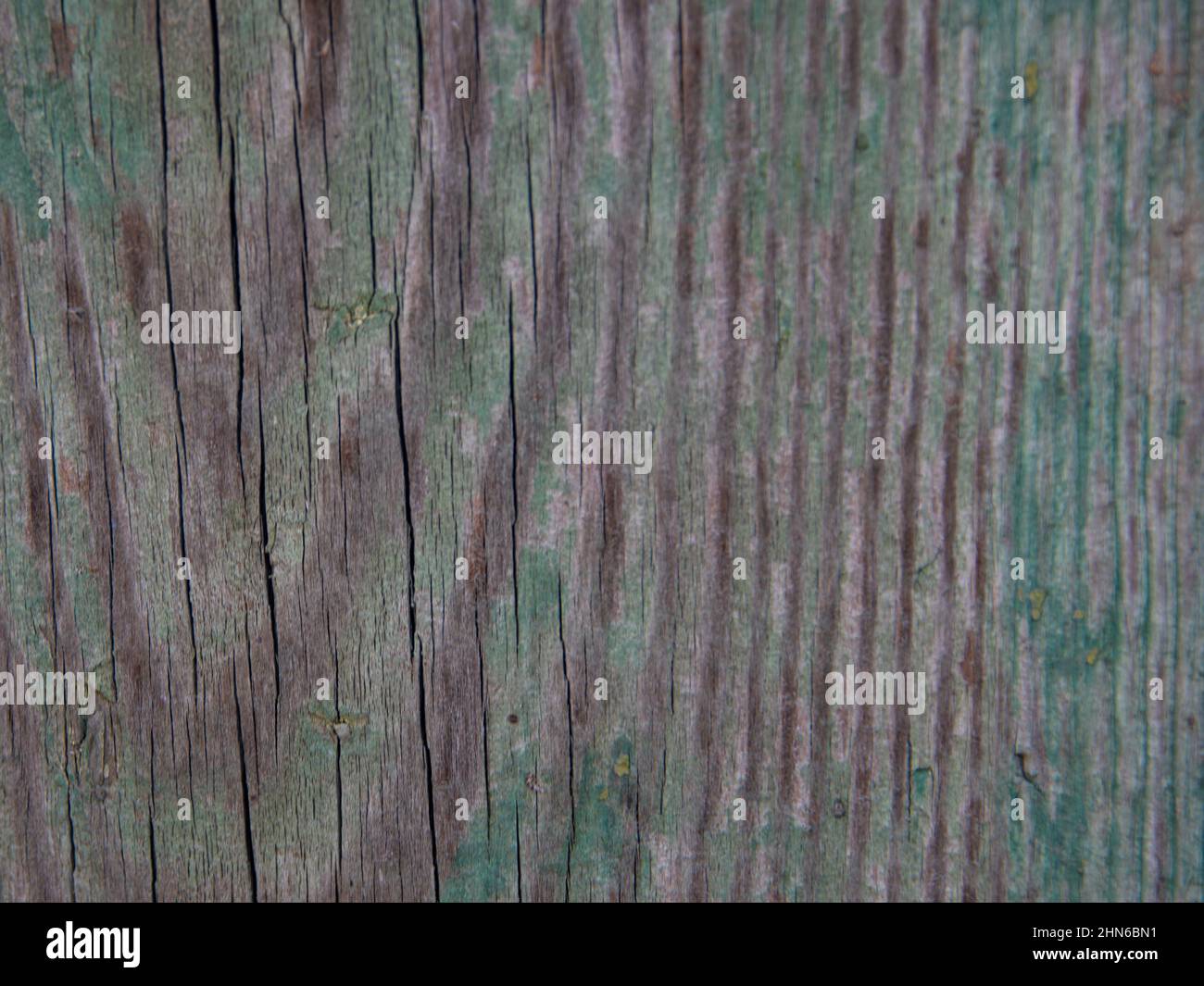 Old wooden green texture background Stock Photo - Alamy