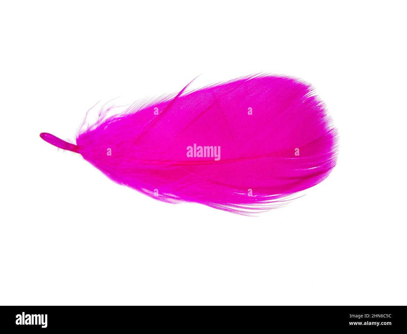 Pink flamingo line drawing hi-res stock photography and images - Alamy