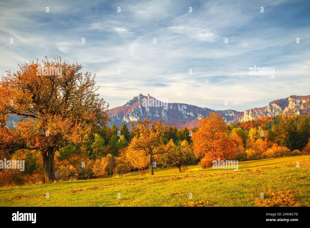 Landscape with a trees in autumn colors. Mountains in the Sulov rocks ...