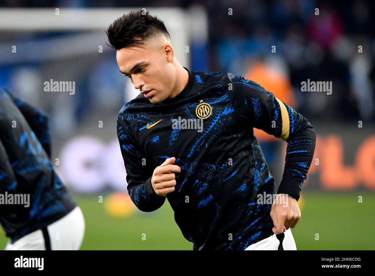 Wrms hi-res stock photography and images - Alamy