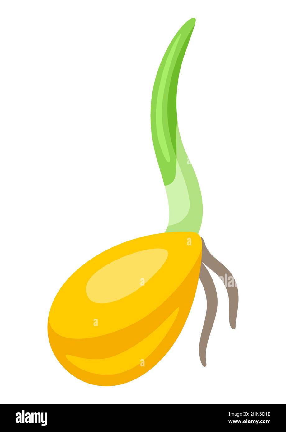 Sprouted seed for sowing. Agricultural planting illustration Stock ...