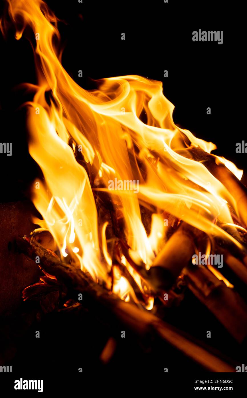 Beautiful formation of fire created by burning some dry reeds forming ...