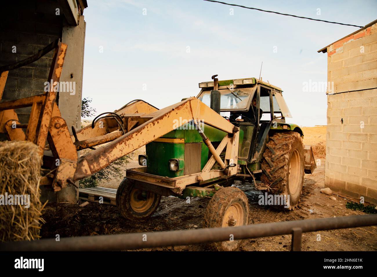 Farmer moving straw bales with a vintage tractor Stock Photo - Alamy