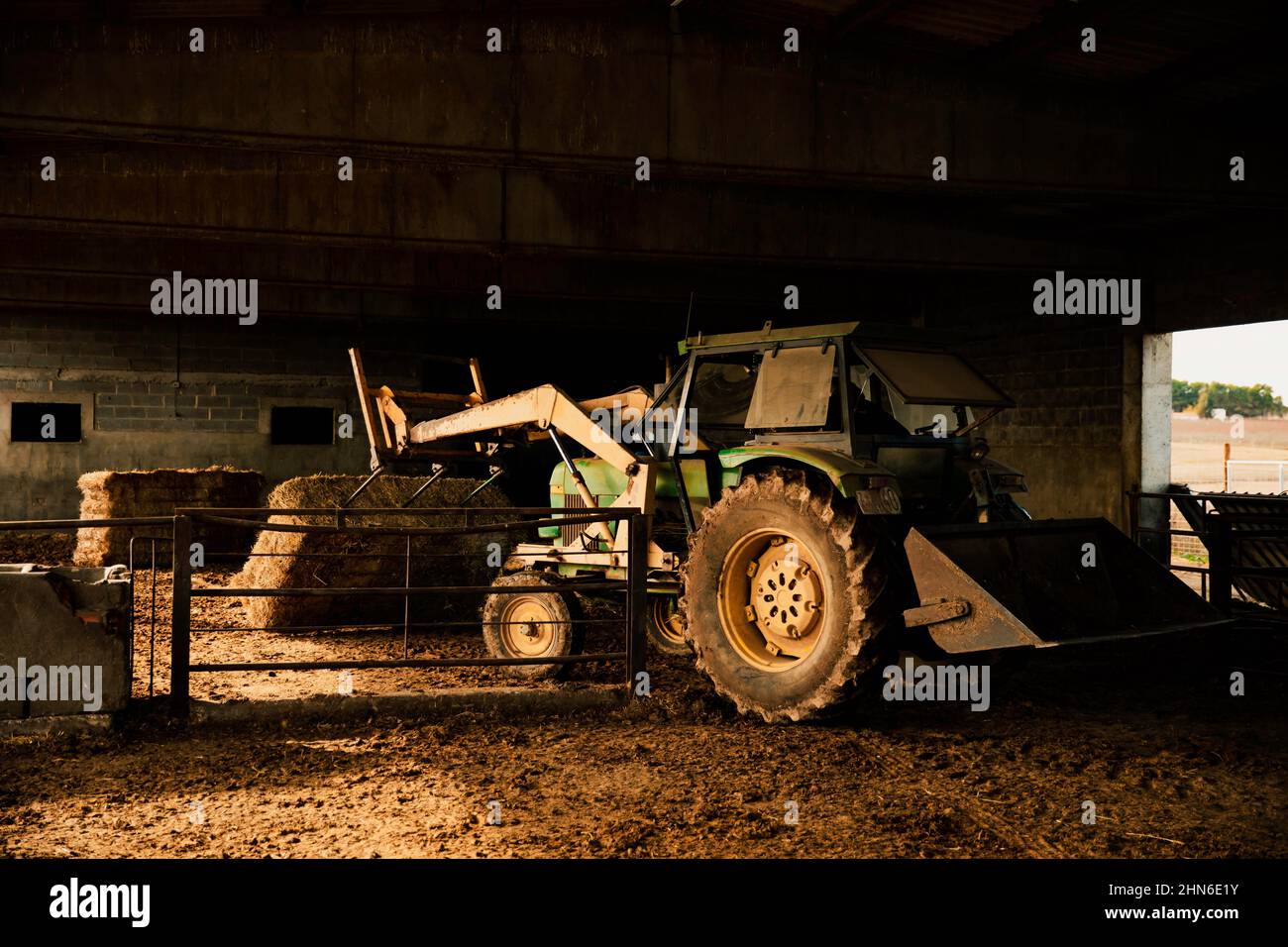 Farmer moving straw bales with a vintage tractor Stock Photo - Alamy