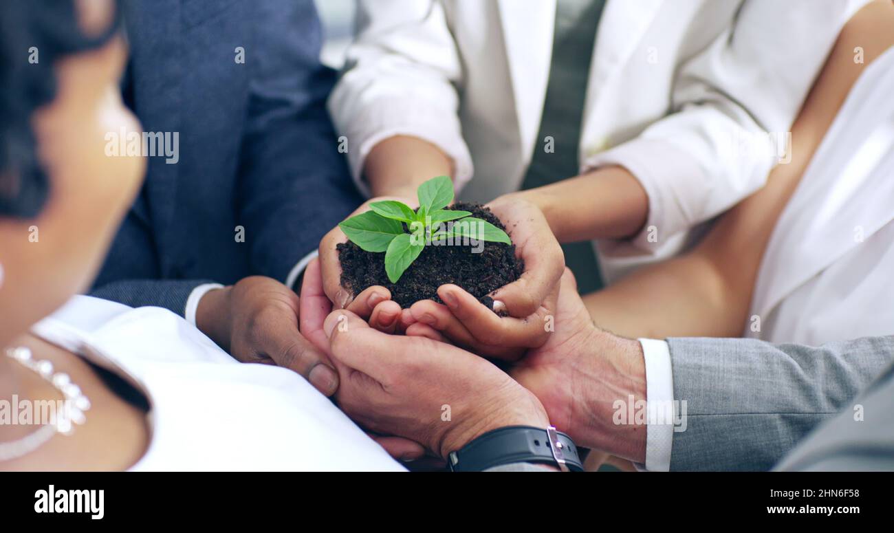 Growth is in the hands of the team. 4k video footage of a team of ...