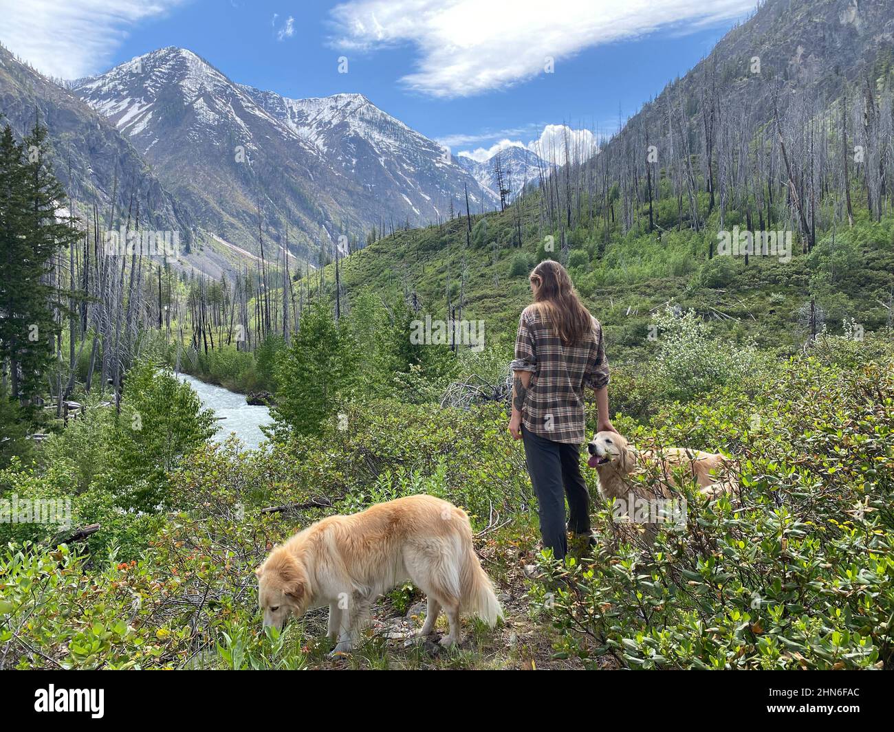 Female hiking with dogs in a burned river valley in The North Cascades ...
