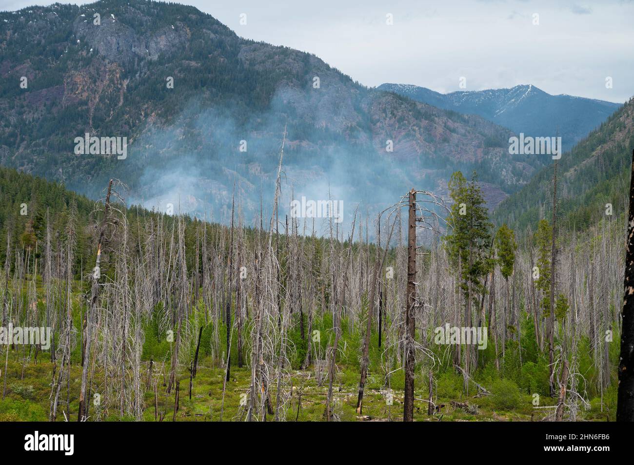 Smoke from a controlled burn in the North Cascade Mountains Stock Photo ...