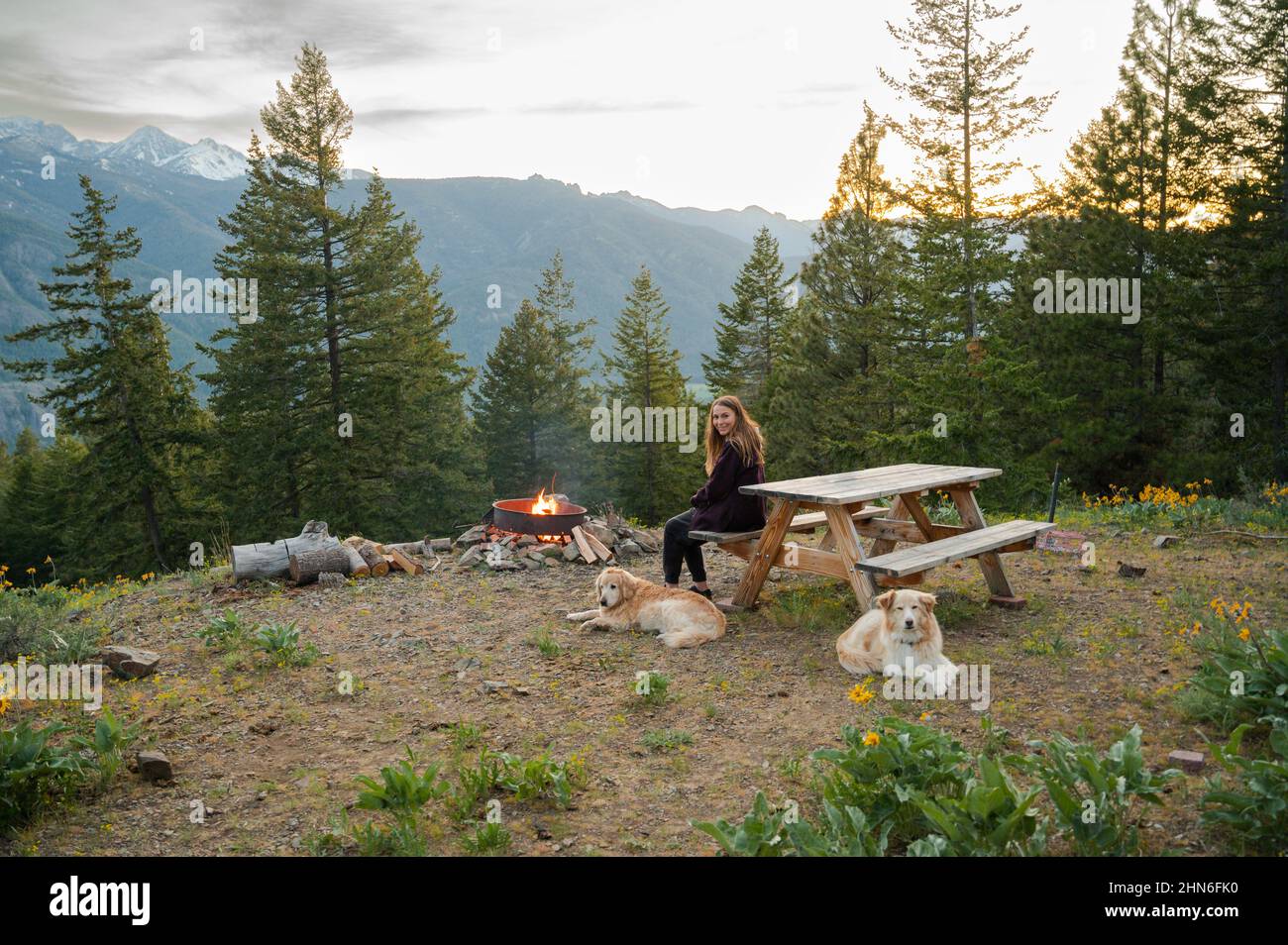 Sitting around the campfire with dogs in the mountains Stock Photo - Alamy