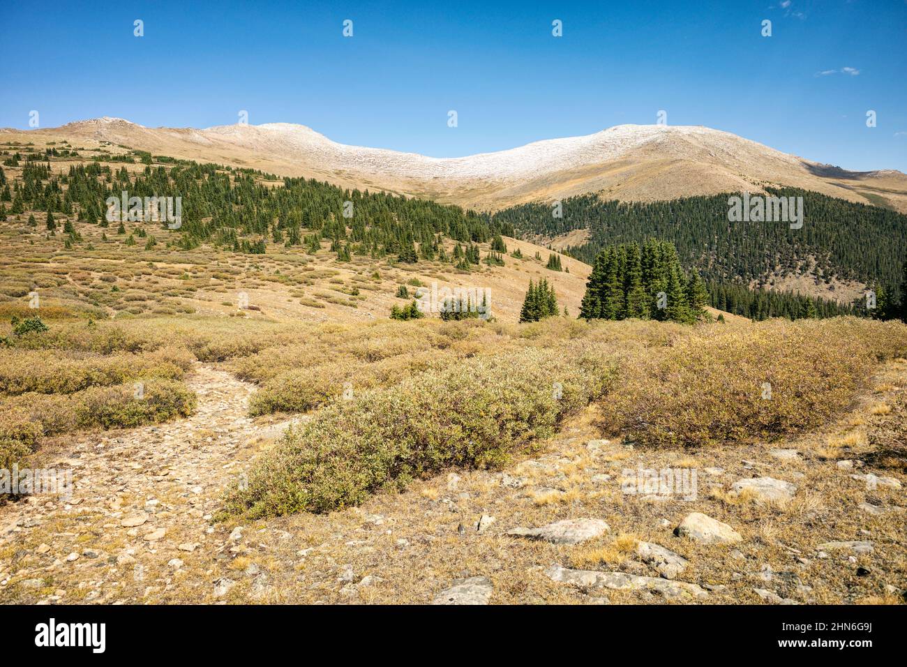 Landscape in the Mount Evans Wilderness in the Rocky Mountains Stock ...