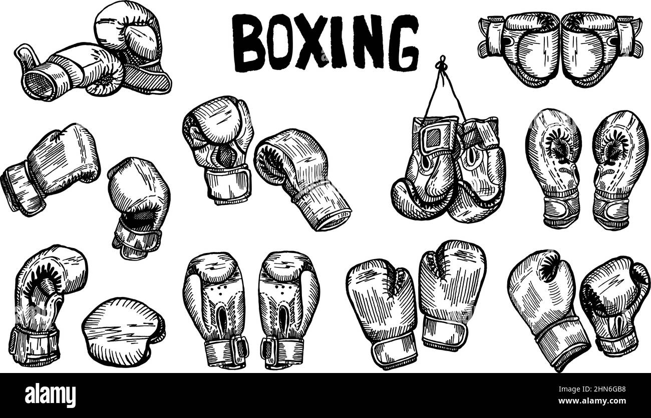 Set boxing gloves hanging on title sketch isolated. Sporting equipments ...
