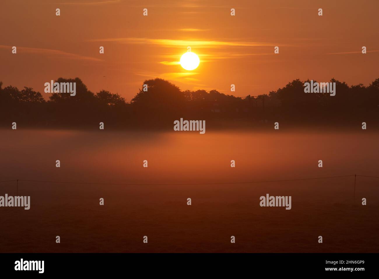 Dawn sunrise over a misty field of grass Stock Photo - Alamy