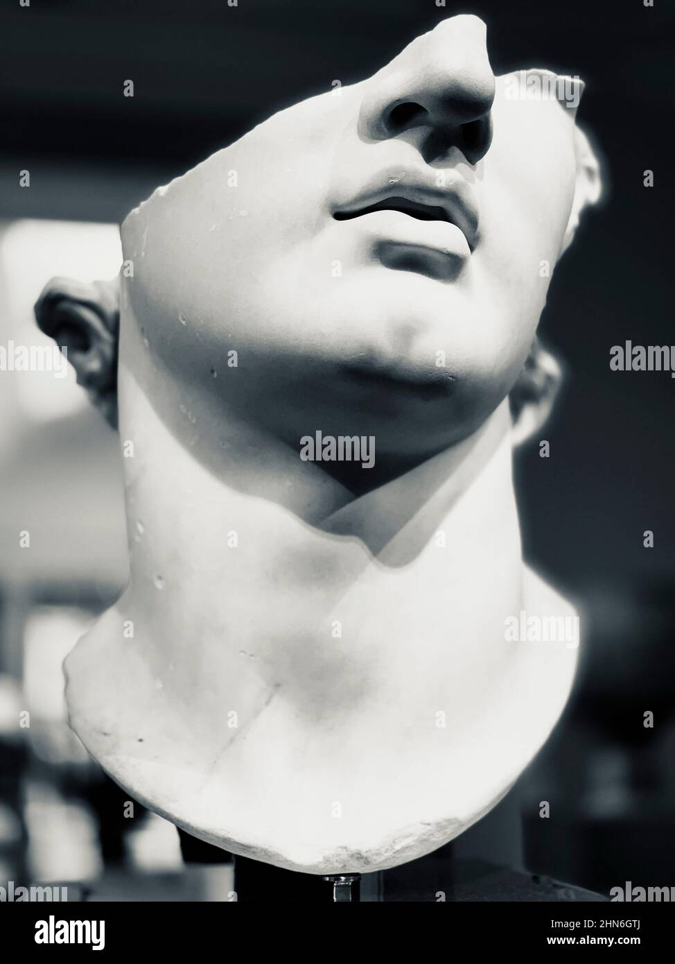 Fragmentary colossal head hi-res stock photography and images - Alamy