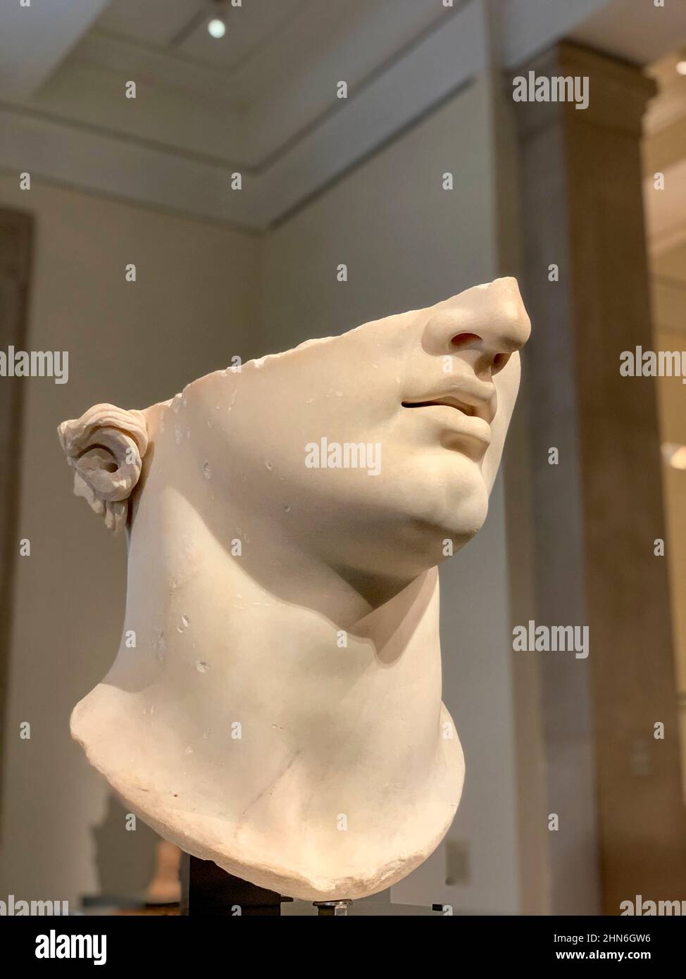 Fragmentary colossal head hi-res stock photography and images - Alamy