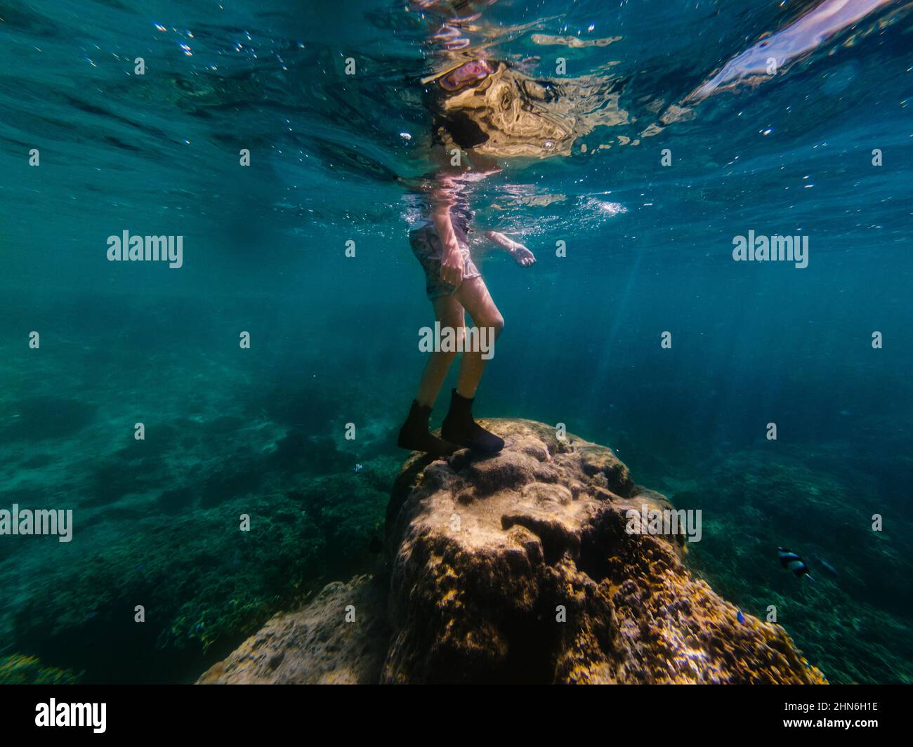 Underwater coral reef exploration feet and legs Stock Photo - Alamy