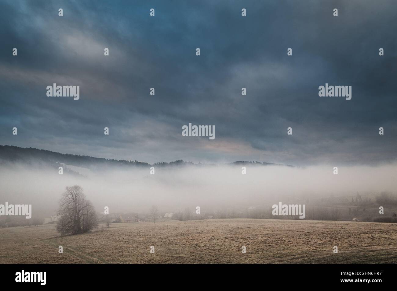 Winter landscape in fog at misty morning Stock Photo - Alamy