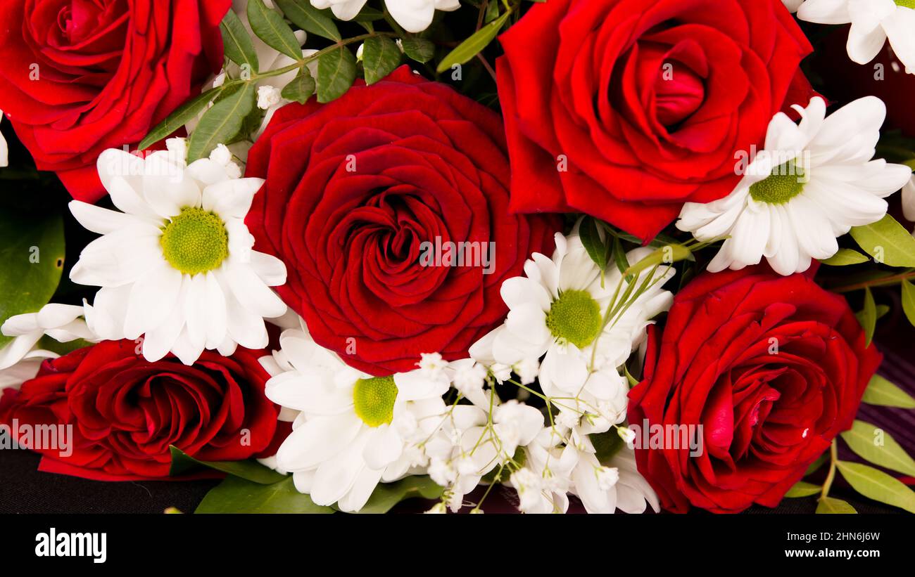 Closeup bouquet of red roses with with daisies Stock Photo - Alamy