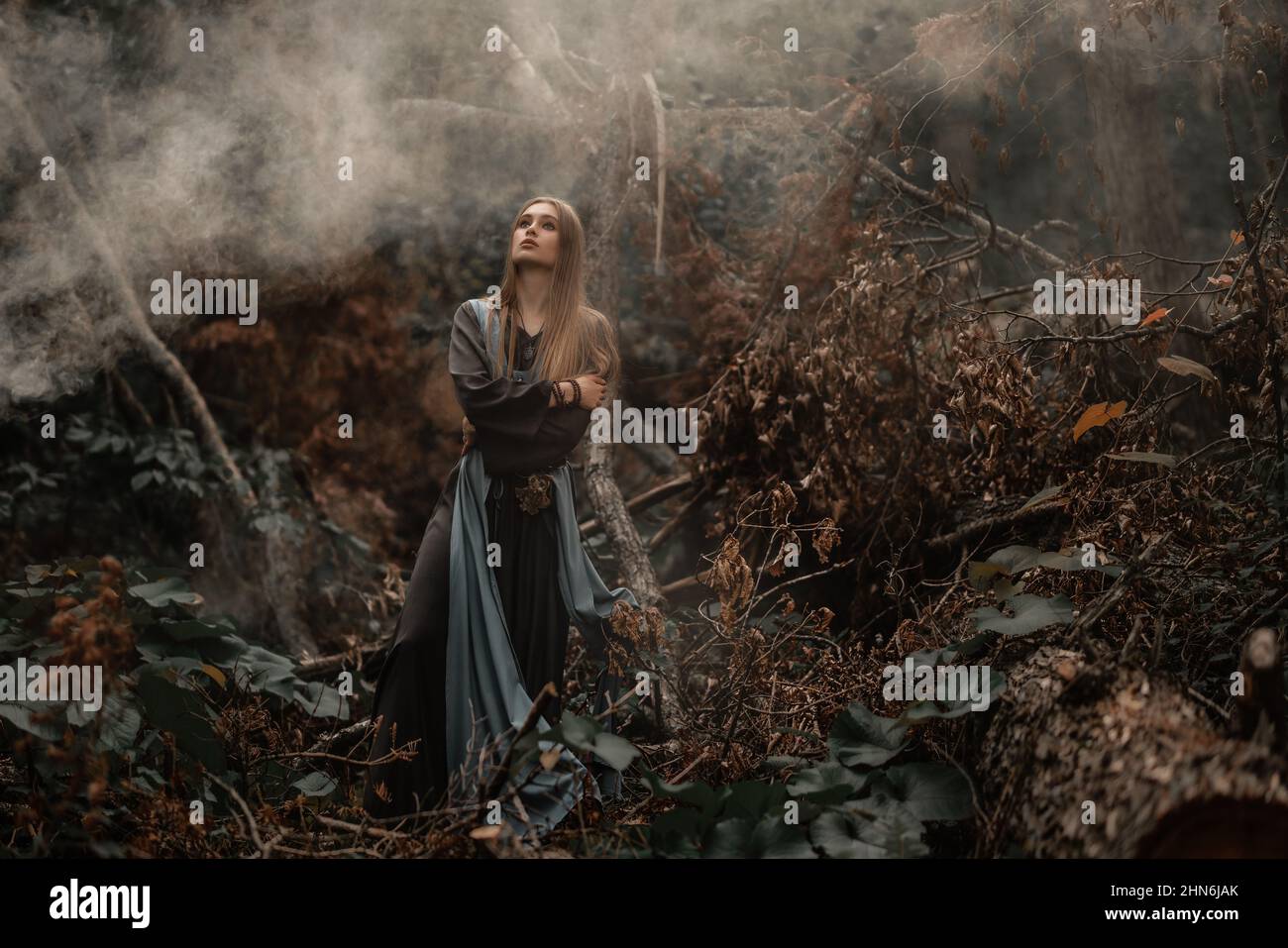 A mysterious witch walks in a dark forest Stock Photo - Alamy
