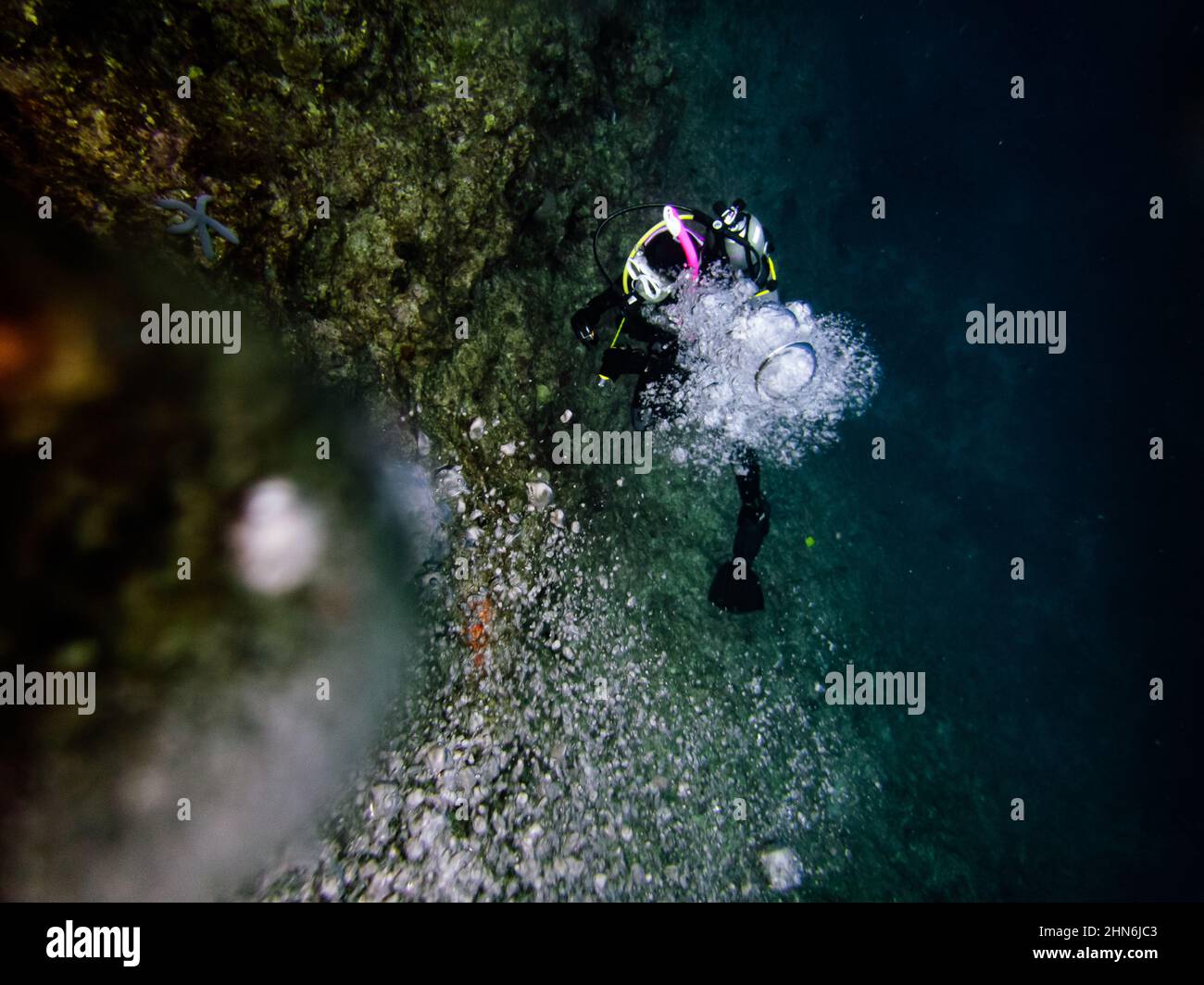 Underwater scuba diving along a coral reef in the East China Sea Stock ...