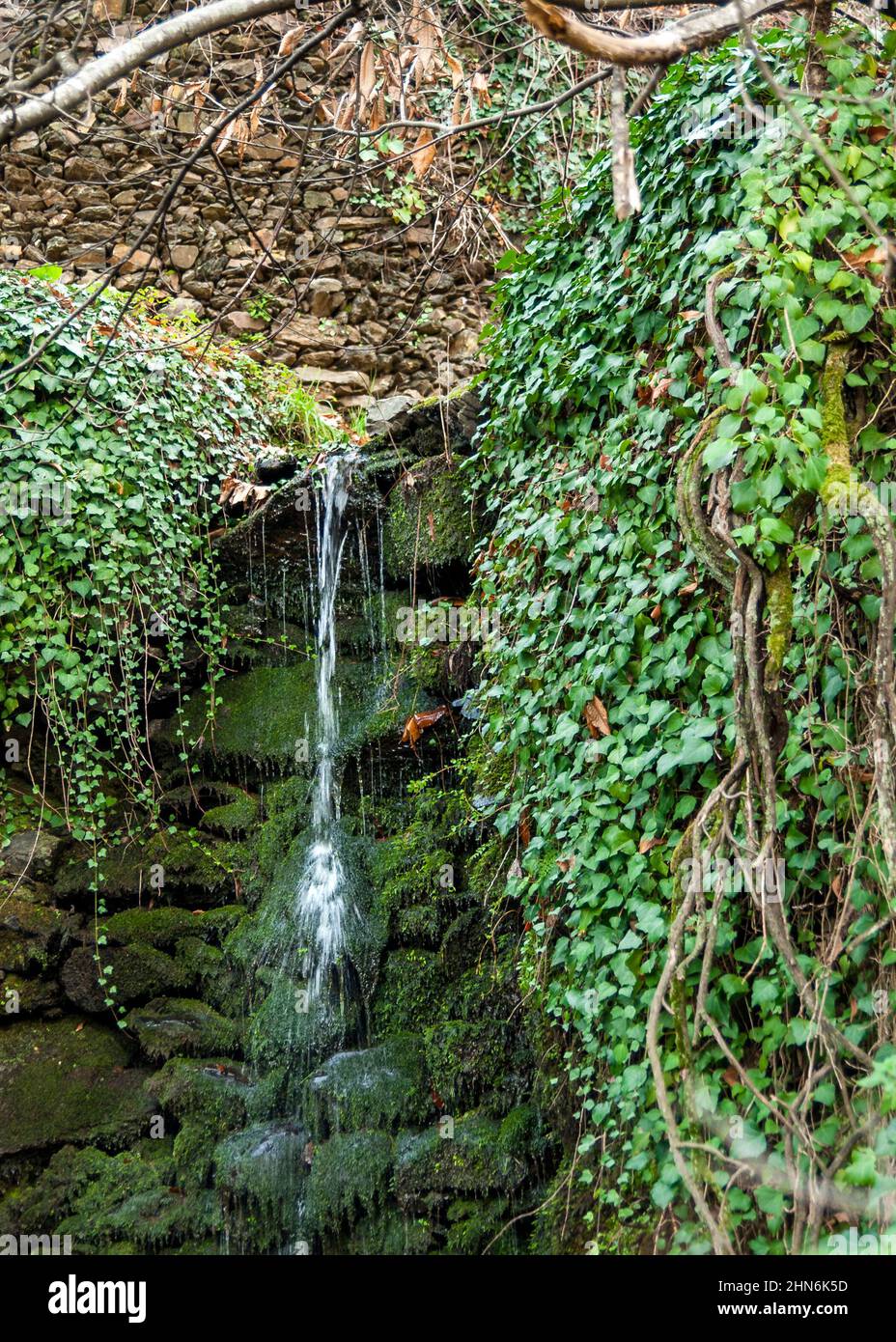 Water stream cascade with green moss background in Robledillo de Gata ...