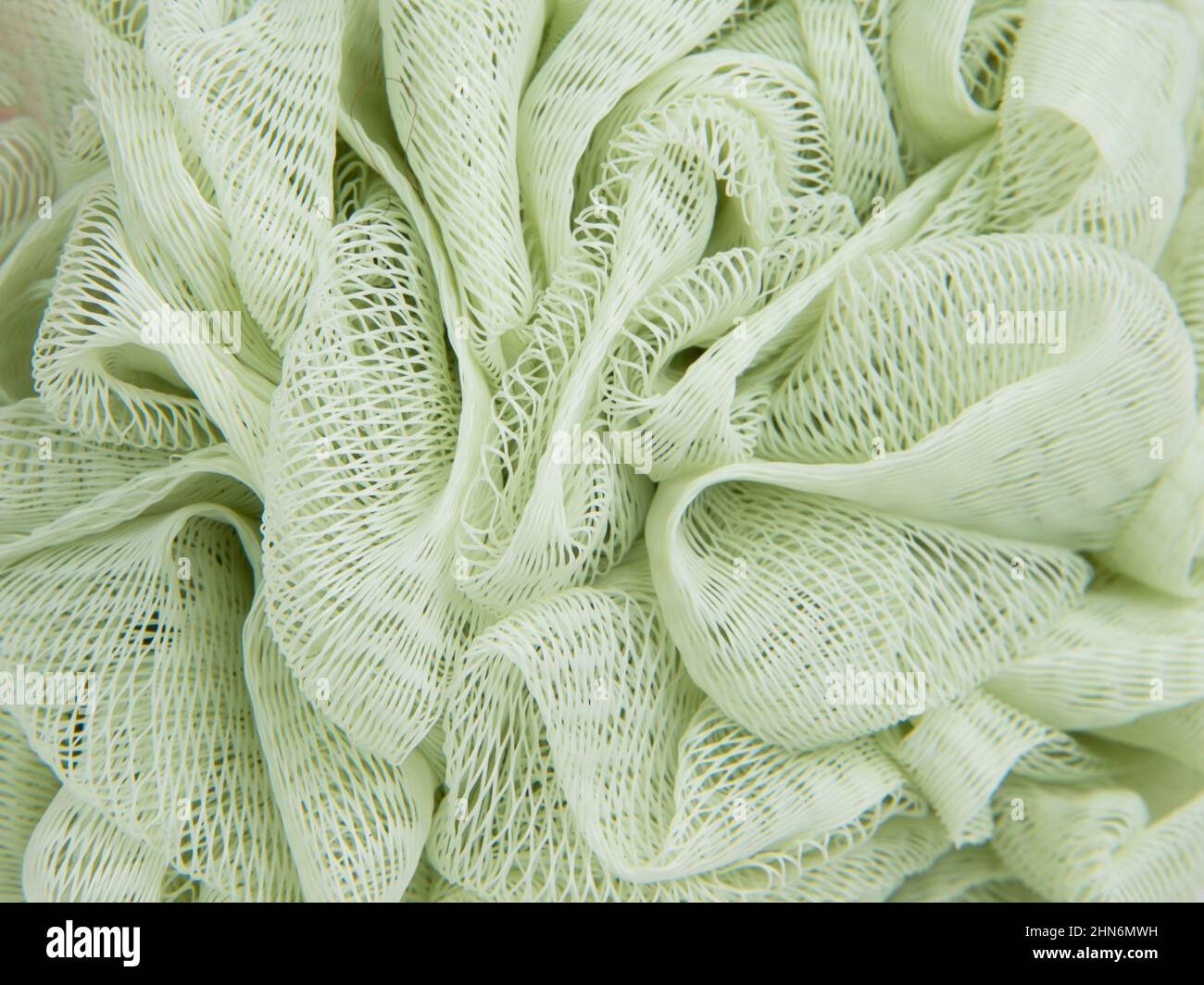 Green puff sponge for shower bath care texture Stock Photo - Alamy