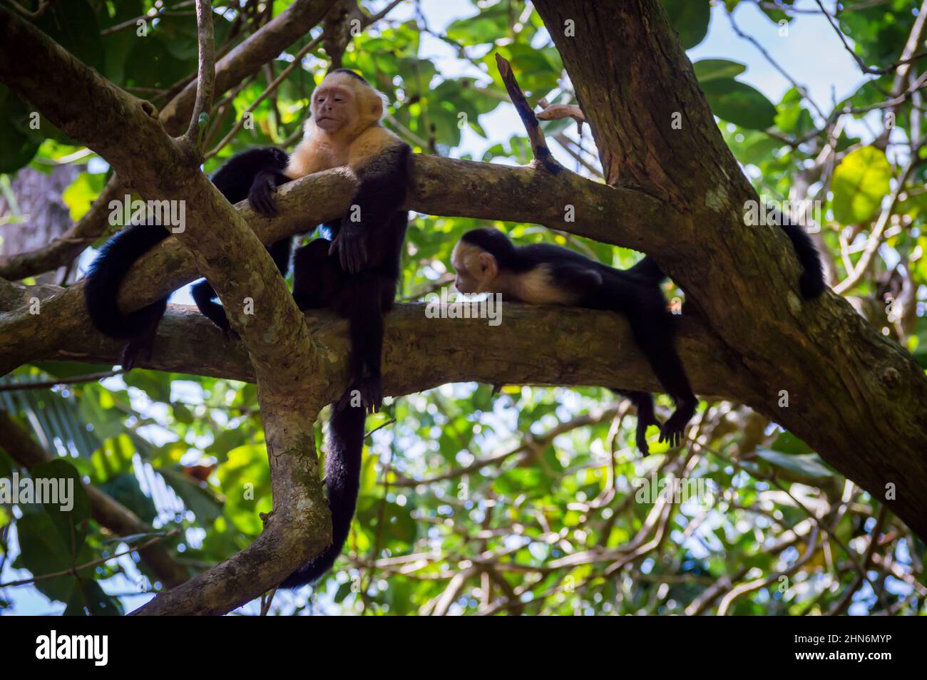 Manuel family hi-res stock photography and images - Alamy