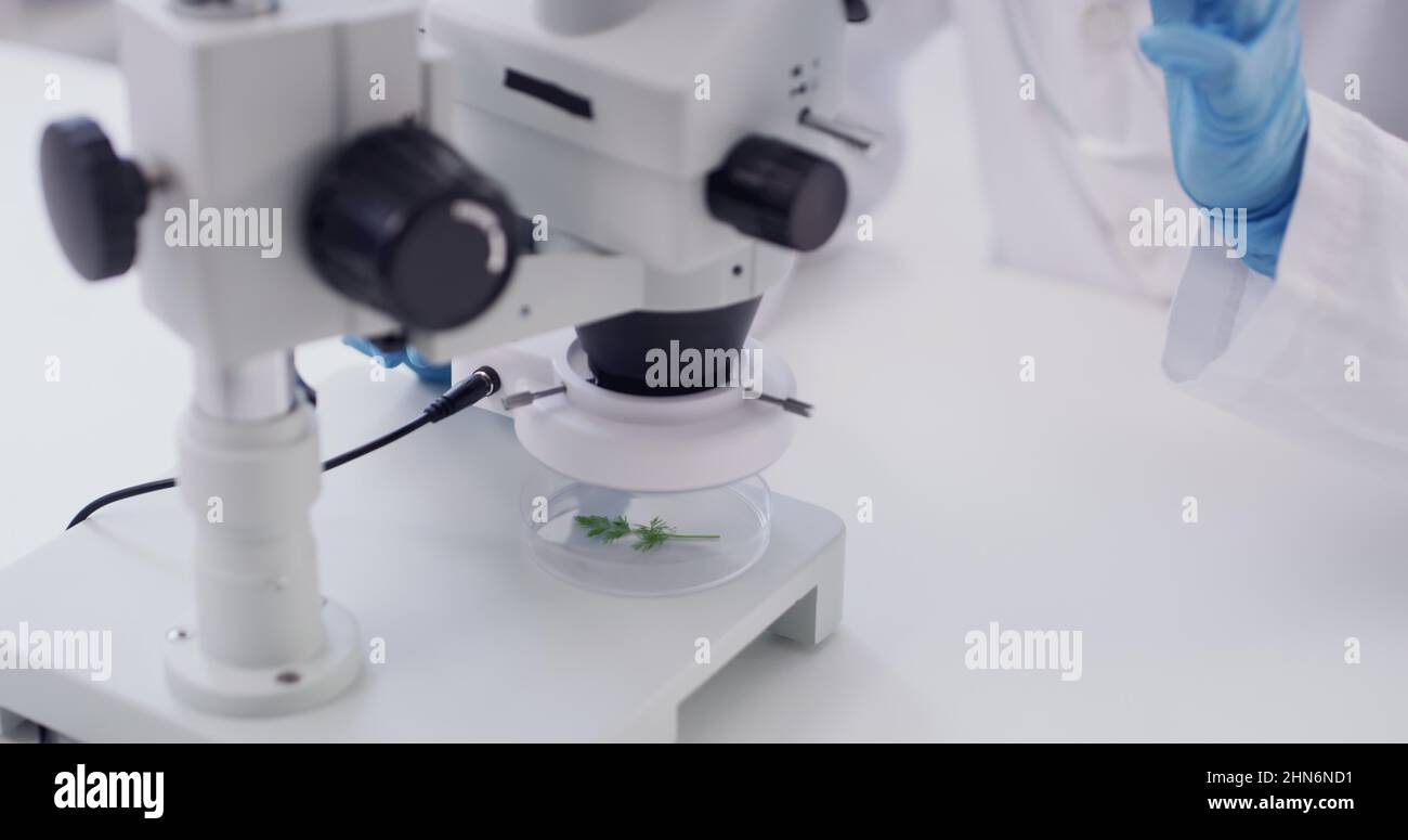 Its time to see beyond the green. 4k video footage of an unrecognizable ...