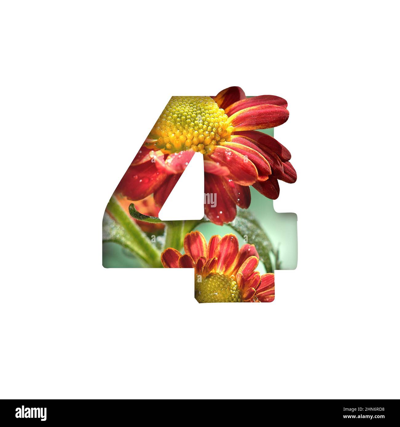 Number 4 cut out shape in square. Four silhouette, chrysanthemum ...