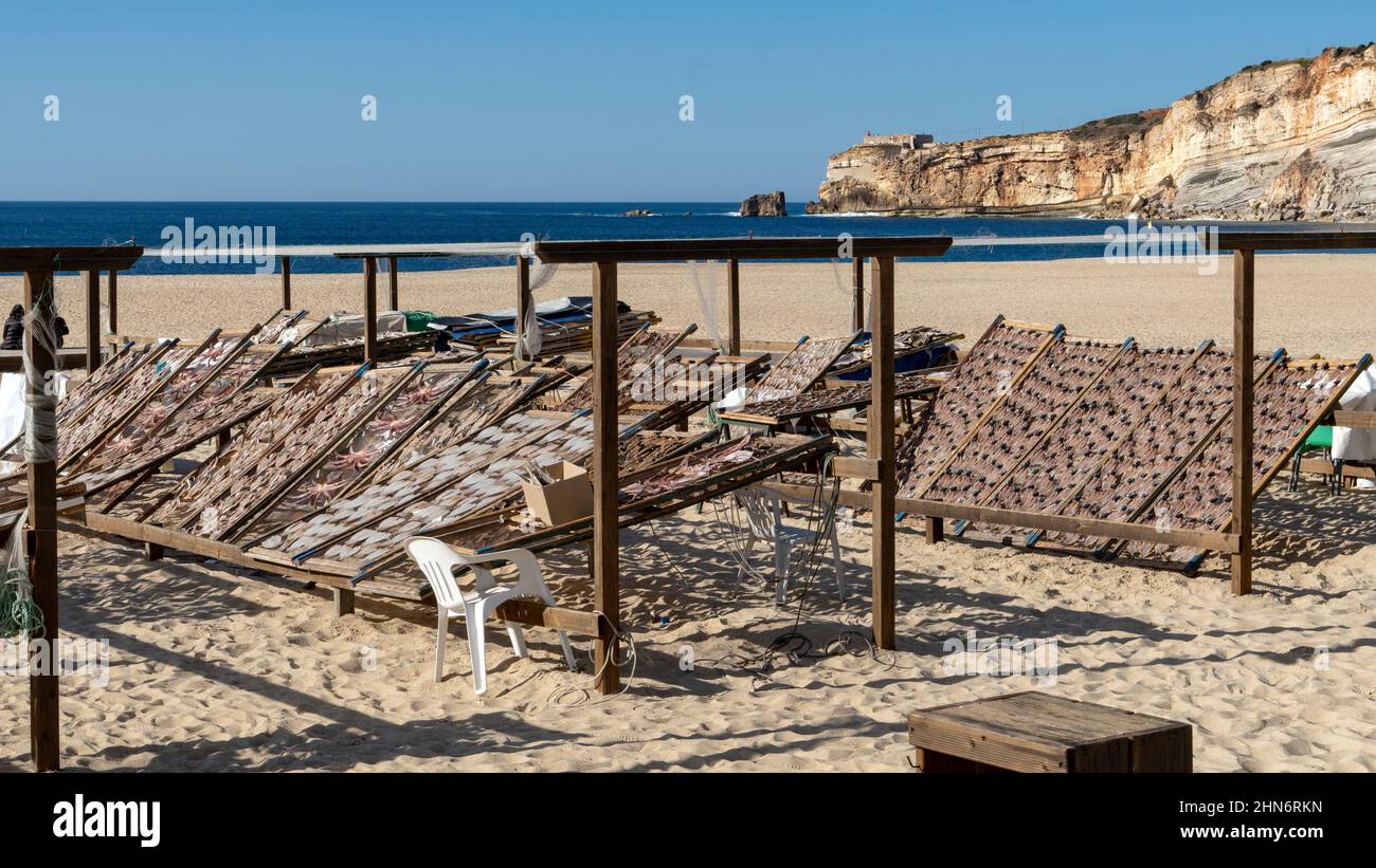 Seca do Peixe Nazaré traditional fish drying I Stock Photo - Alamy
