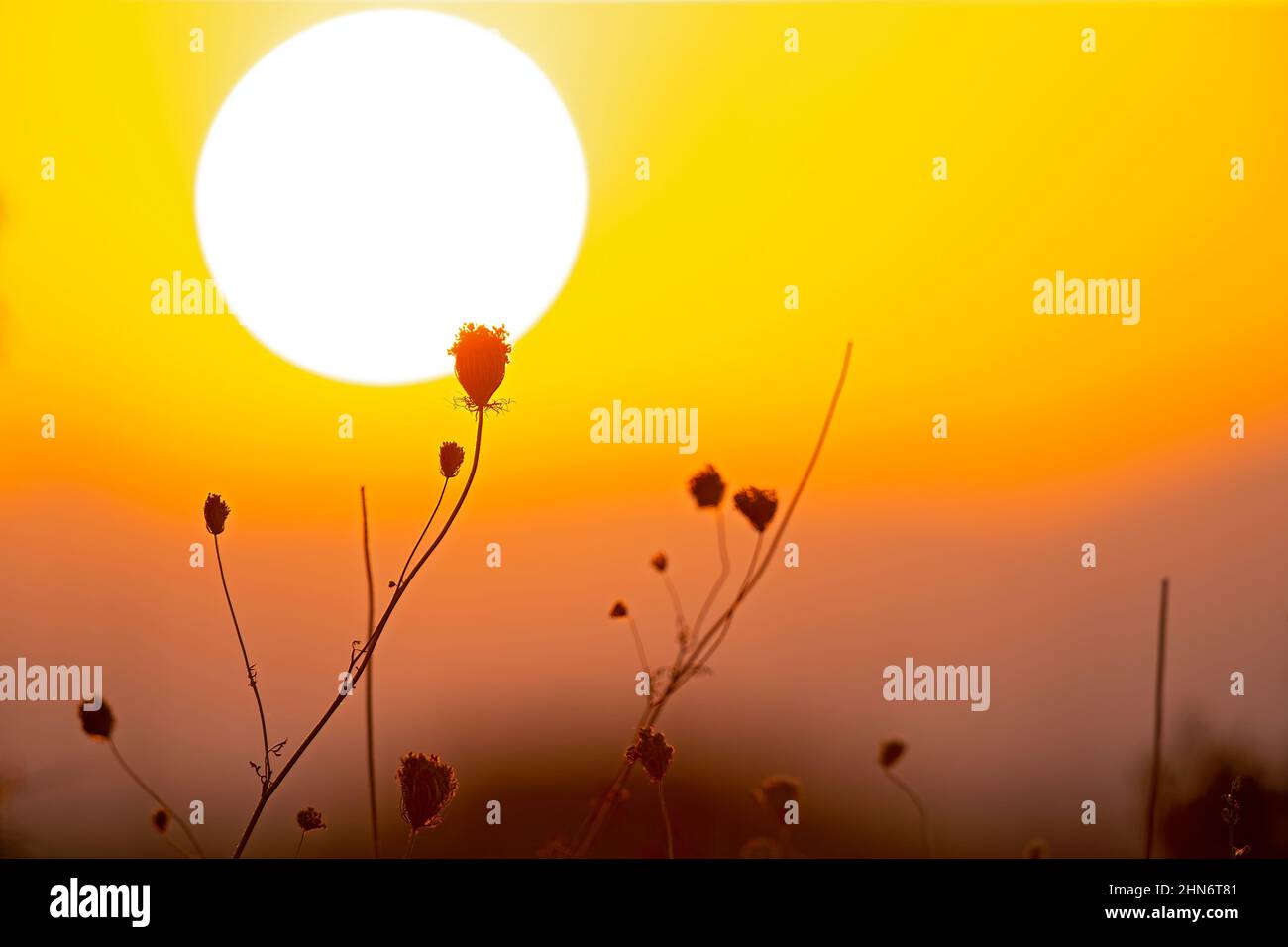 The sun rising early in the morning above the hills of Greece Stock ...