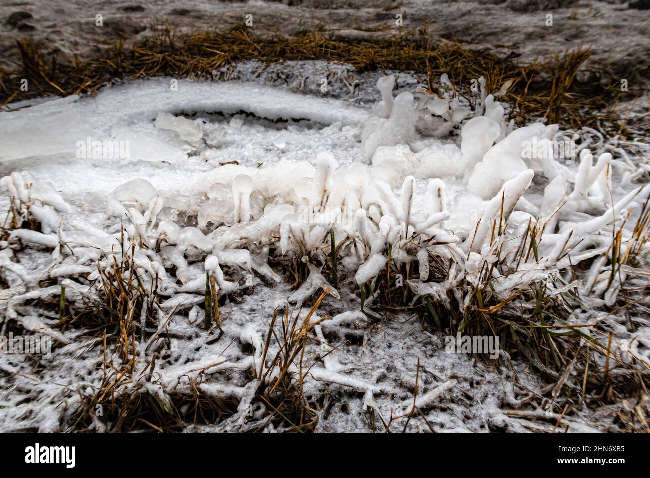 Low quality soil hi-res stock photography and images - Alamy