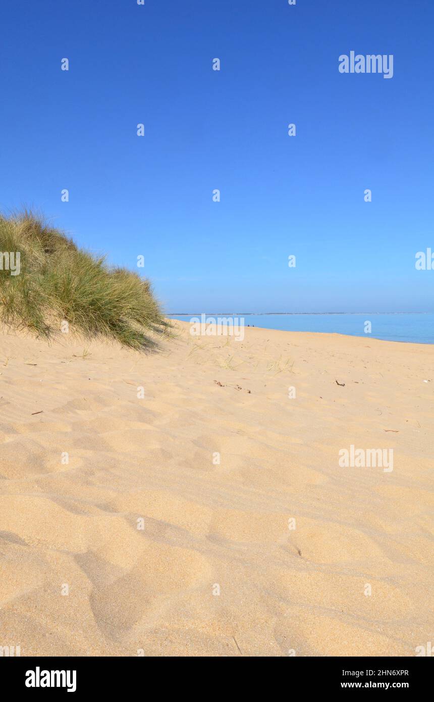 FRANCE. CHARENTE-MARITIME (17). ISLAND OF OLERON. THE BEACH OF ...