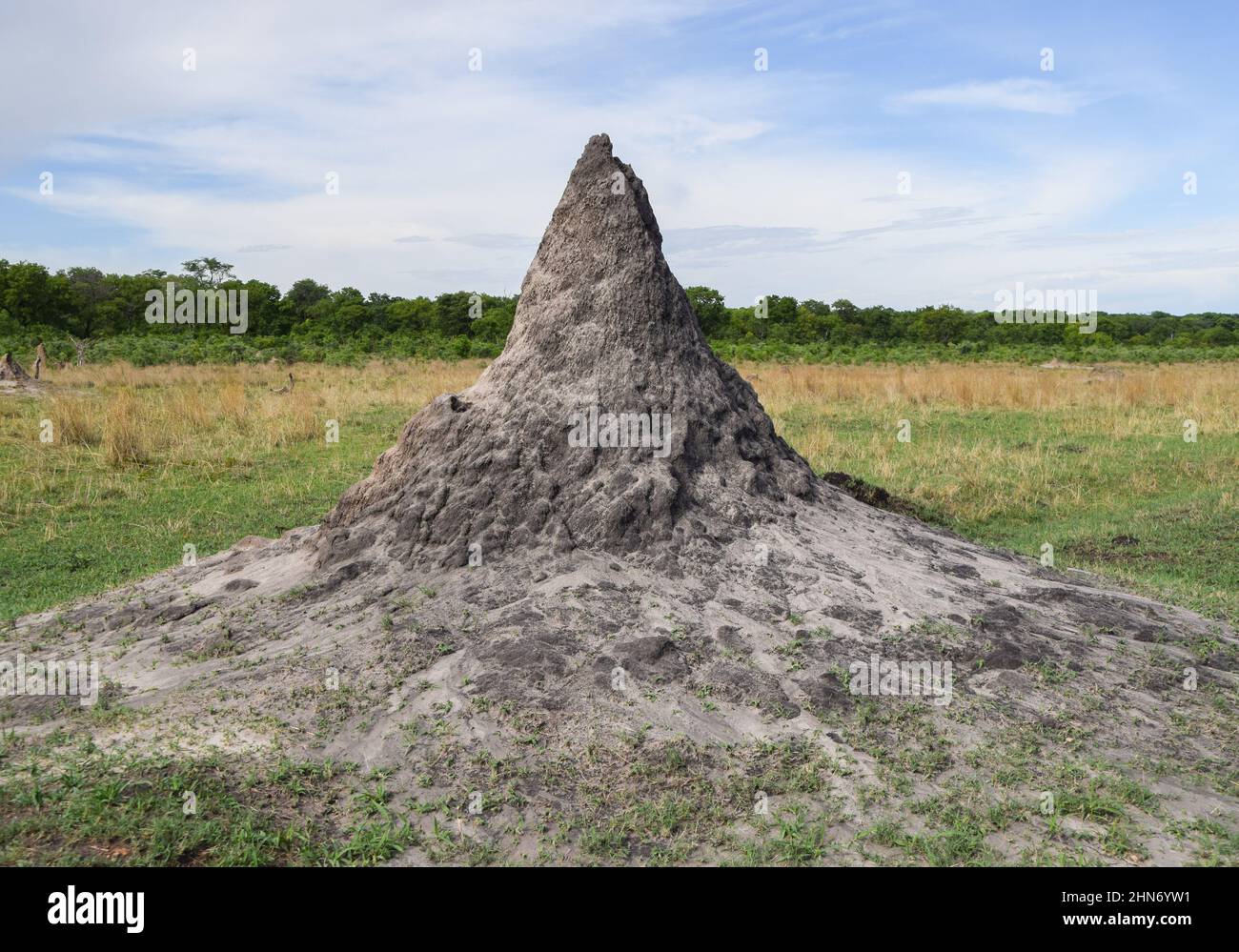 Termites zimbabwe hi-res stock photography and images - Alamy