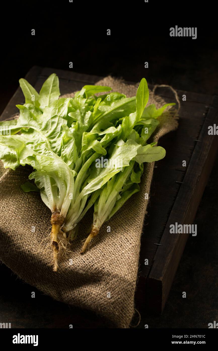 Fresh juicy green salad, still life in rustic style Stock Photo - Alamy