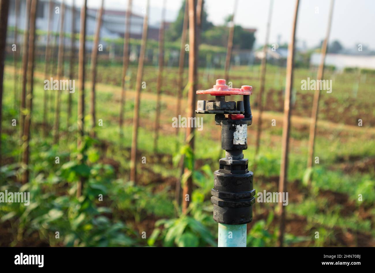 Some irrigation tools and equipment used in agriculture Stock Photo - Alamy