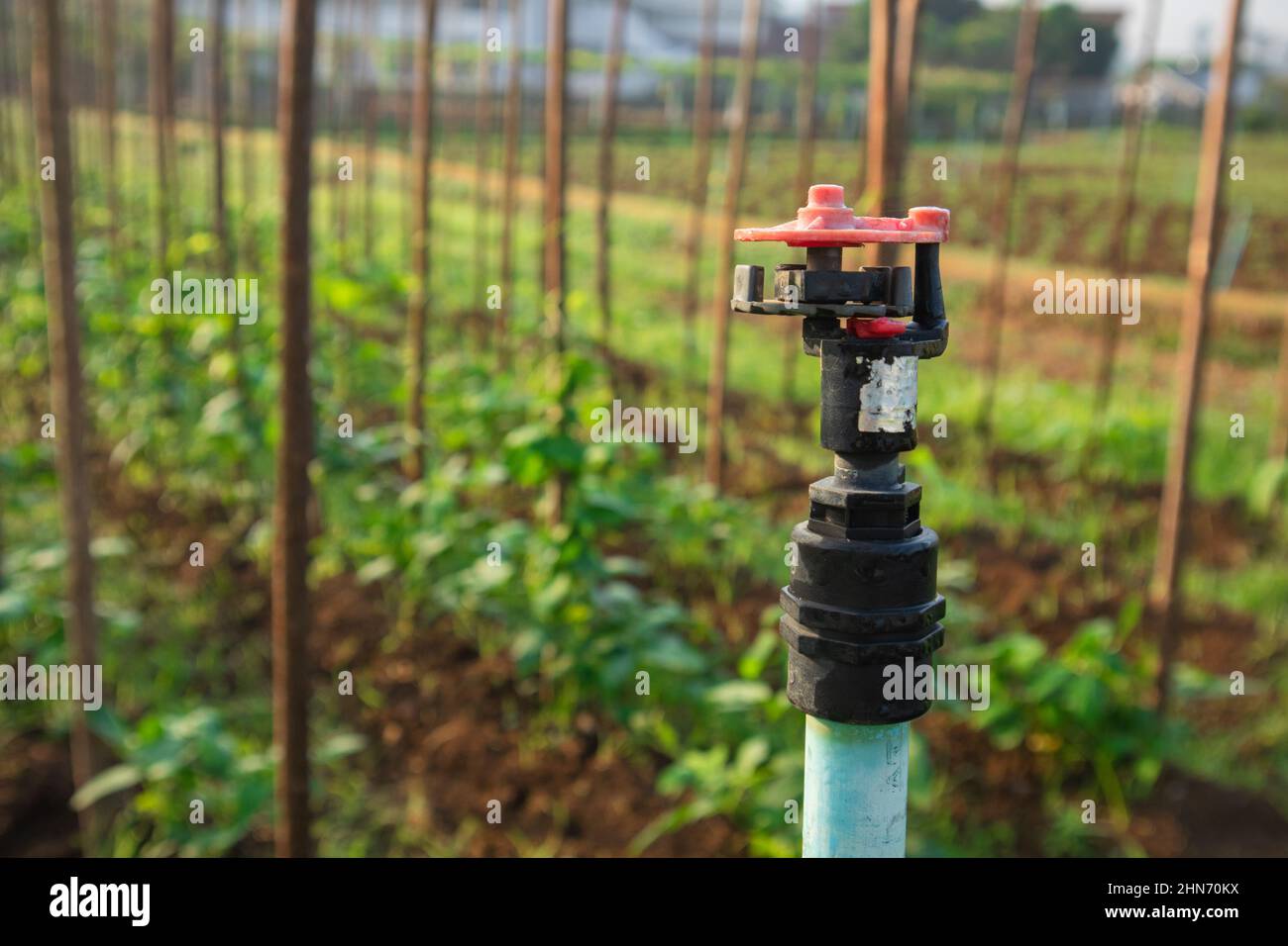 Some irrigation tools and equipment used in agriculture Stock Photo - Alamy