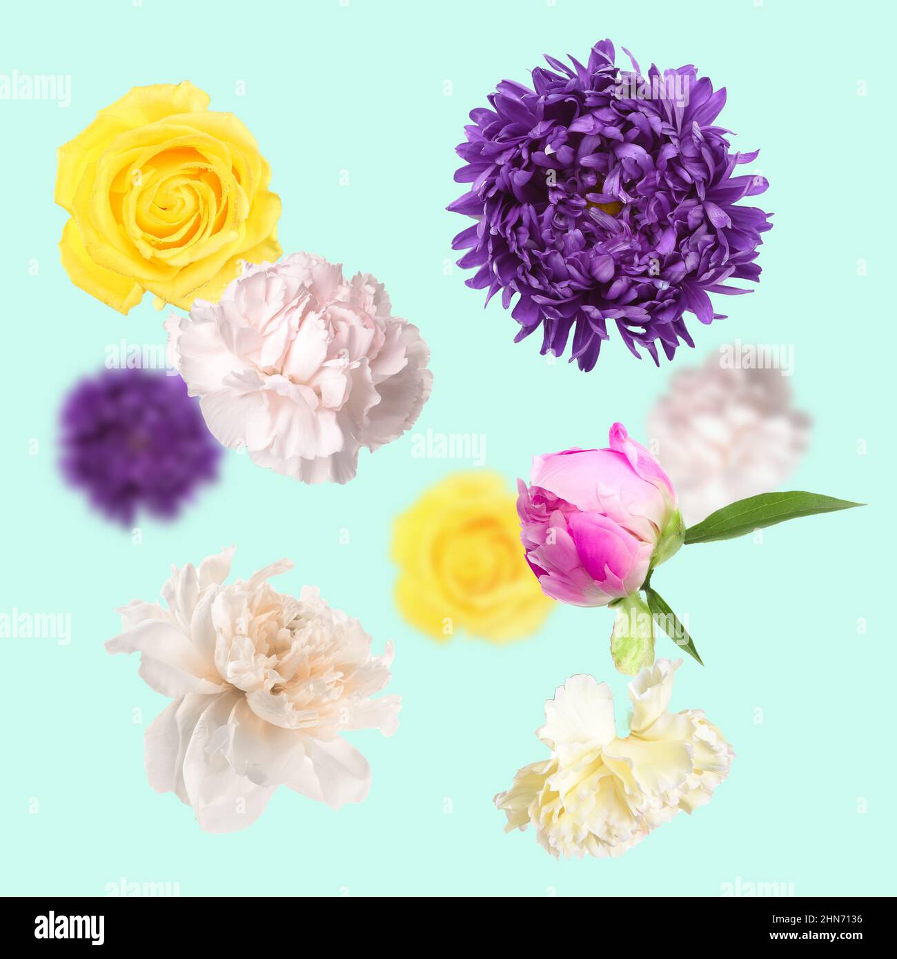 Flying fresh flowers on hi-res stock photography and images - Alamy