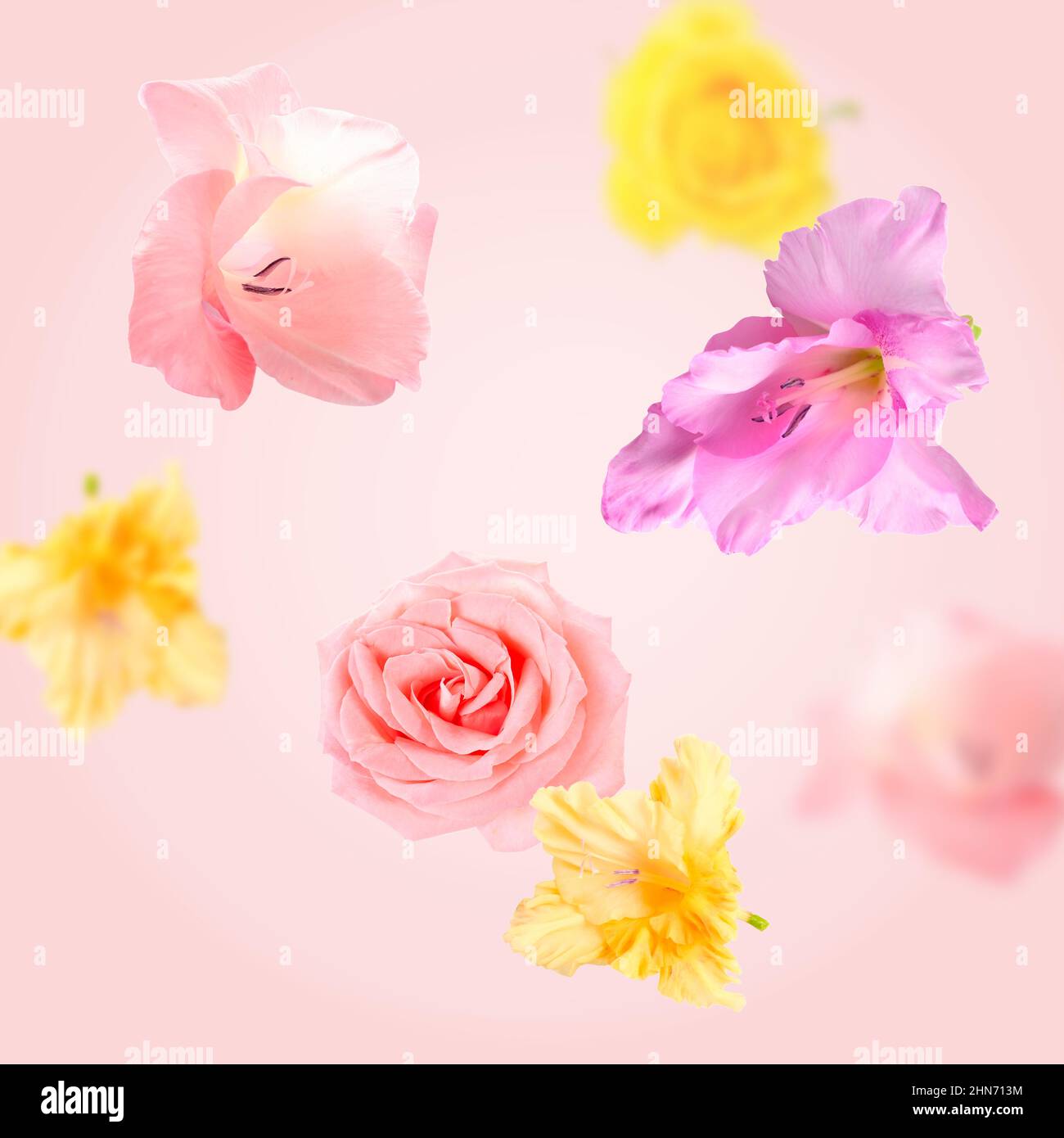 Flying fresh flowers on hi-res stock photography and images - Alamy